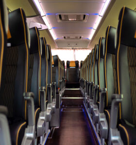 Belize’s #1 Modern Public Transportation - Floralia