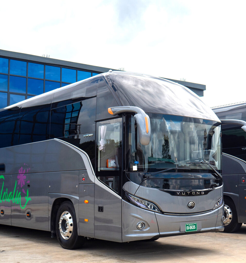 Belize’s #1 Modern Public Transportation - Floralia